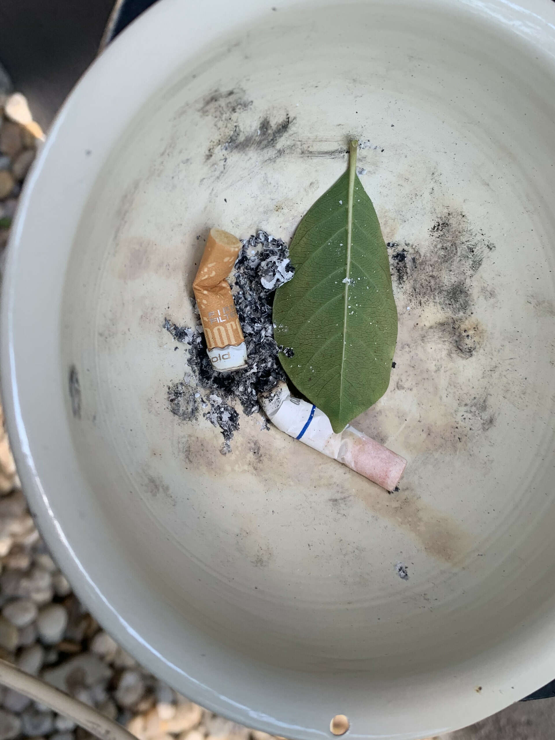 WIELS | Andro Eradze - Heavy Centers