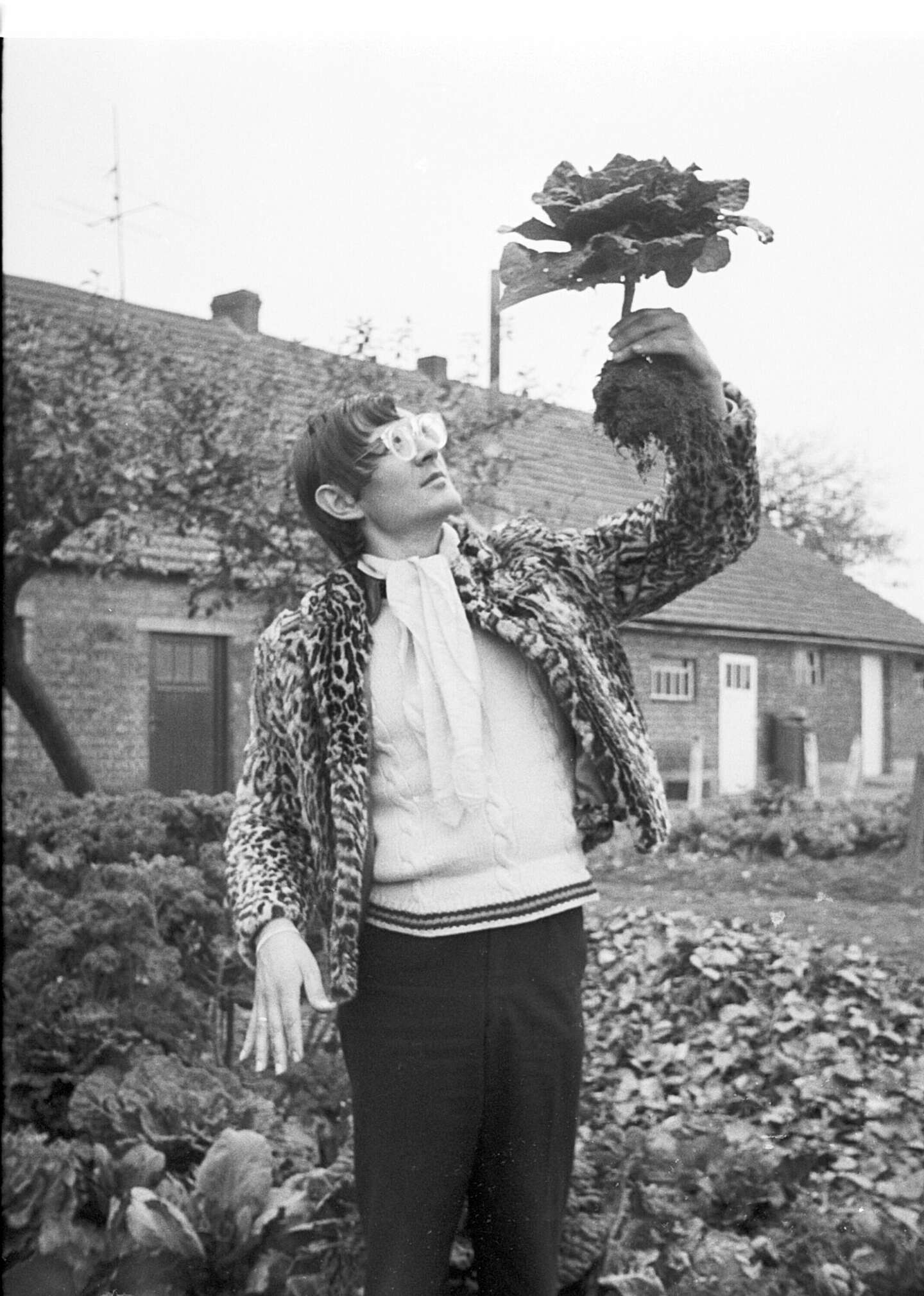 WIELS | Jef Geys & the Vegetable Garden