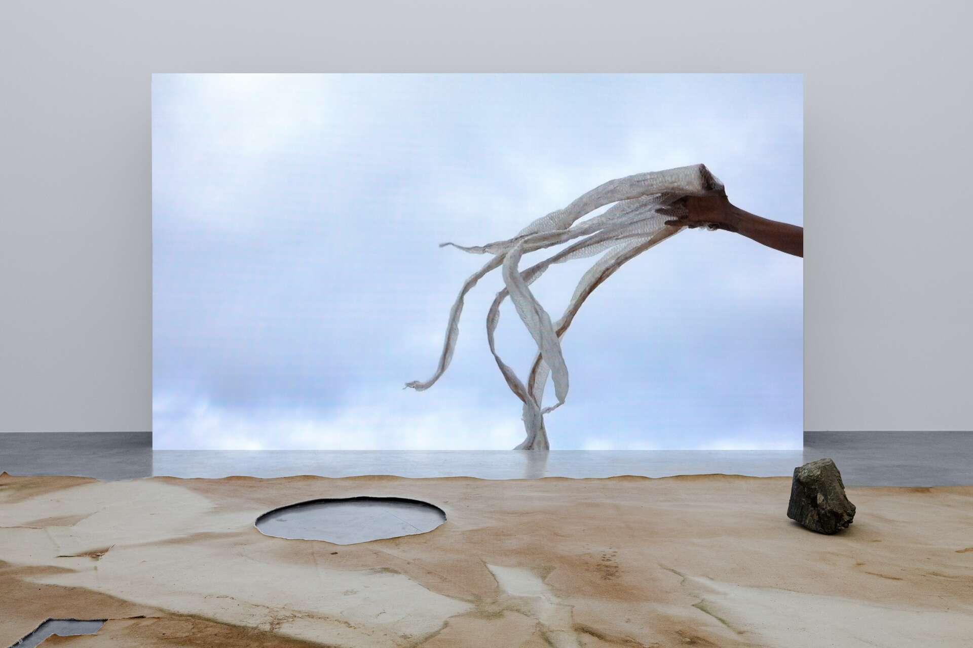 WIELS | Magical Realism: Imagining Natural Dis/order