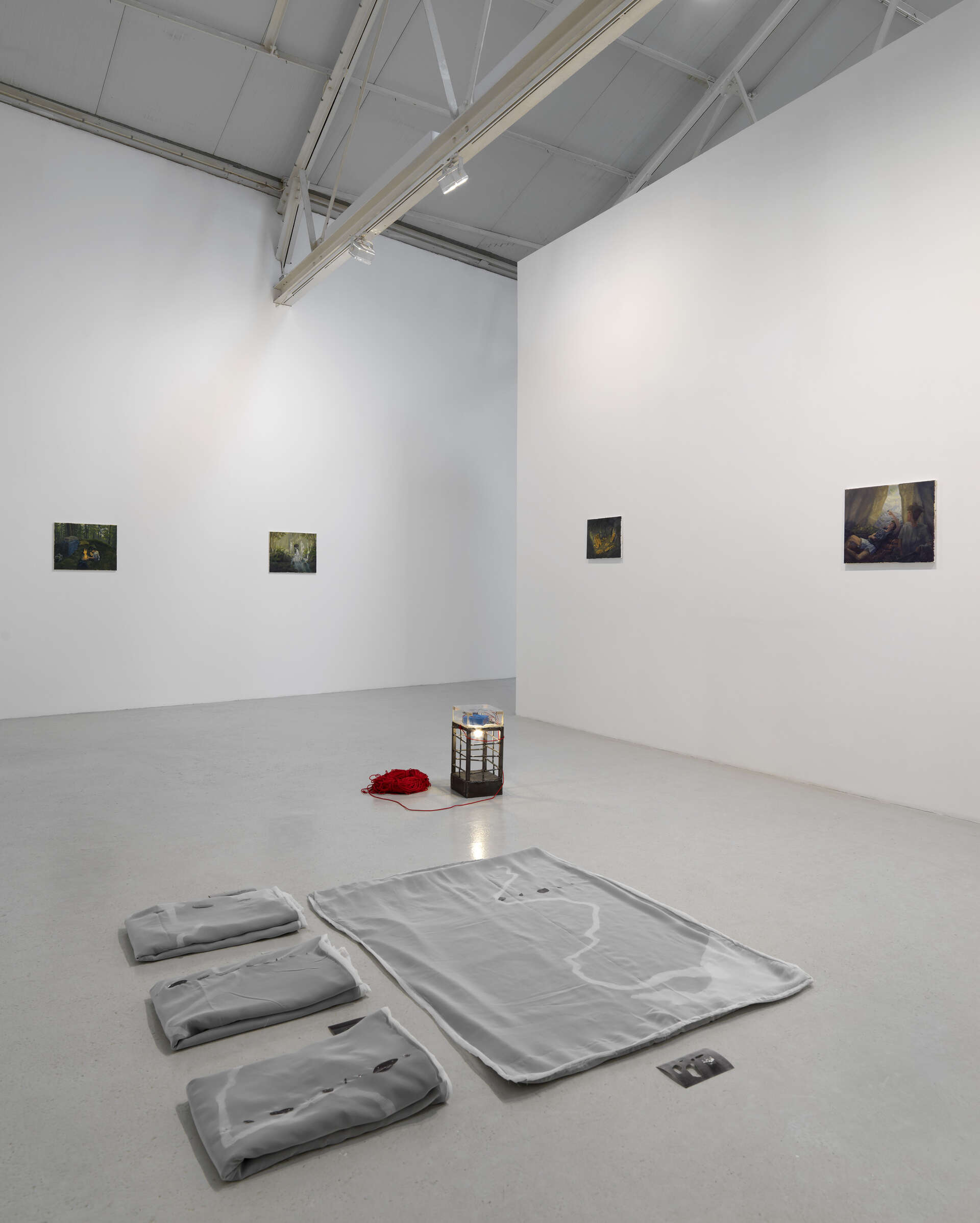 WIELS | Felix De Clercq